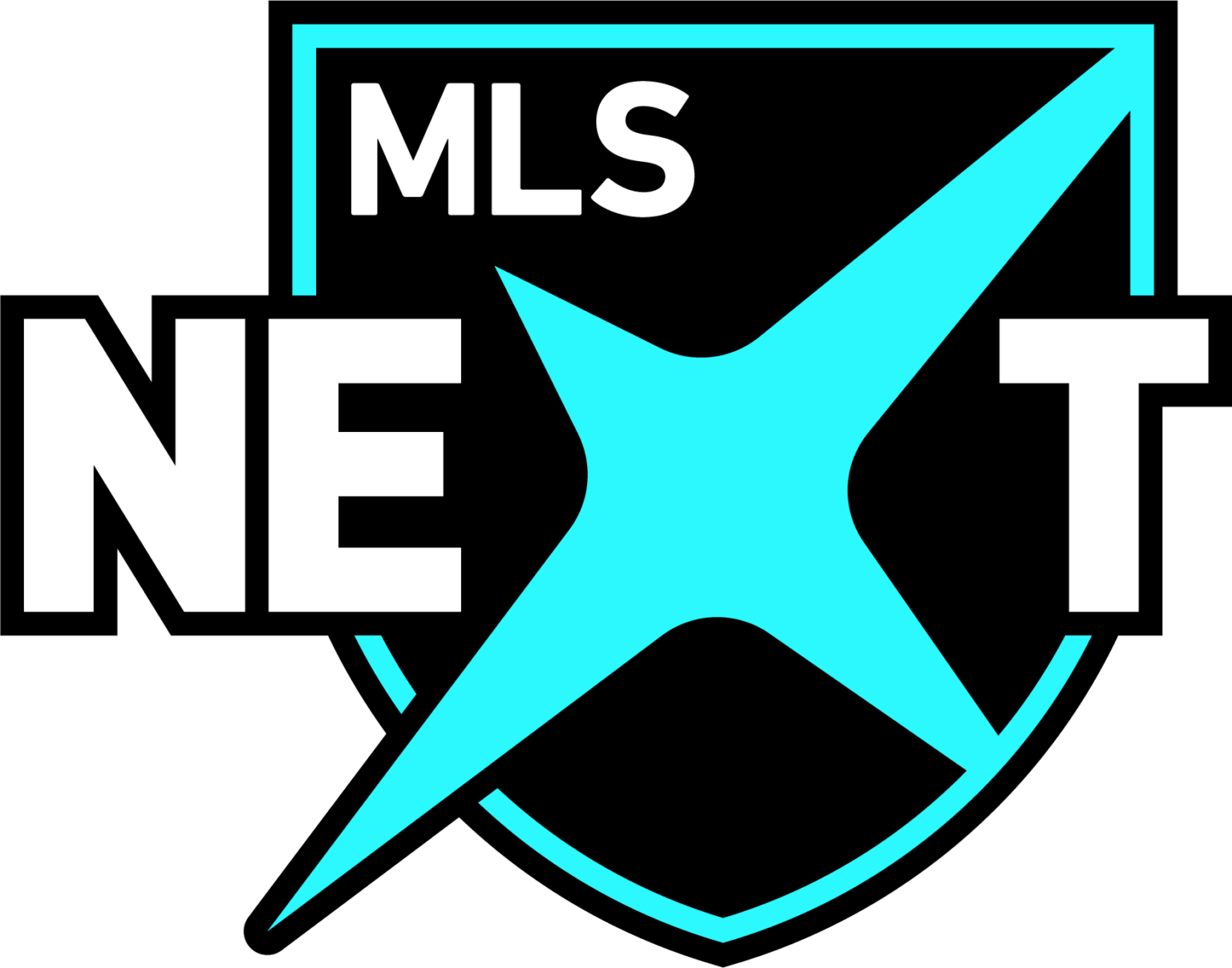 MLS NEXT FAQs – Long Island Pro Soccer